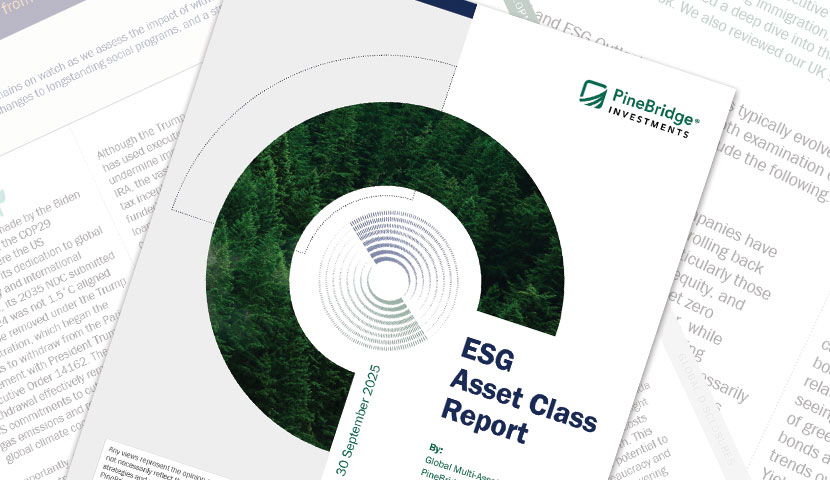 Global Multi-Asset ESG Report: 1H25 | PineBridge Investments