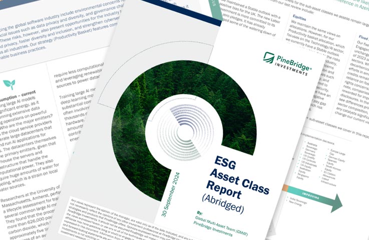 Global Multi-Asset ESG Report: 1H24 | PineBridge Investments