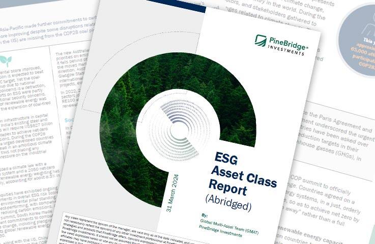 Global Multi-Asset ESG Report | PineBridge Investments